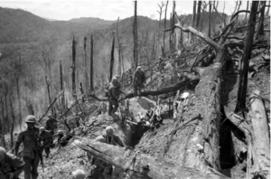 Vietnam War - A Shau Valley - TogetherWeServed Blog