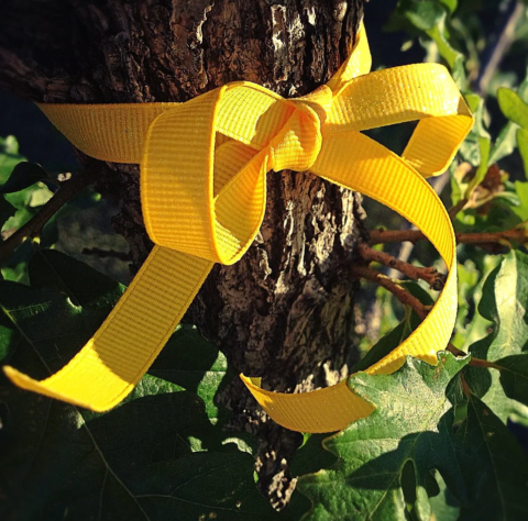 Why Americans Use Yellow Ribbons To Support the Troops ...